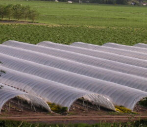 Polyethylene Tarpaulin Rolls | Roll Goods | Buy Tarpaulins UK